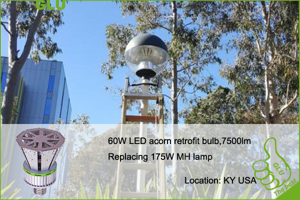 acorn post top retrofit LED lamp,HID retrofit LED lamps,garage canopy ...